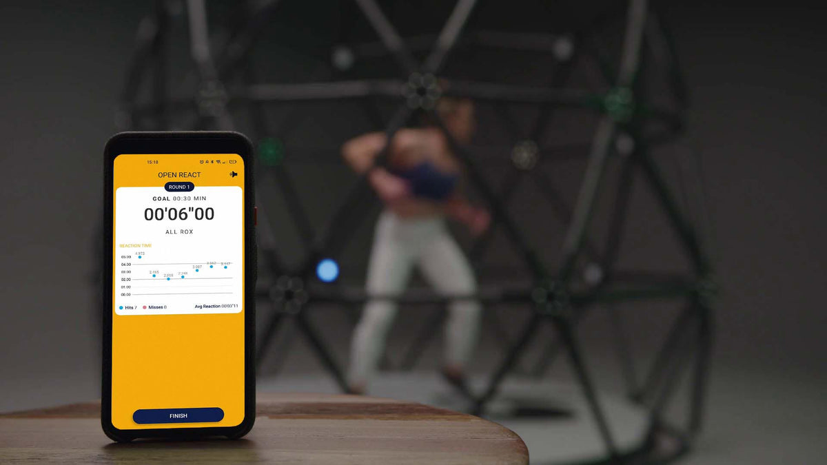 Cognicage 360’ Cognitive sphere with ROX system - A-Champs