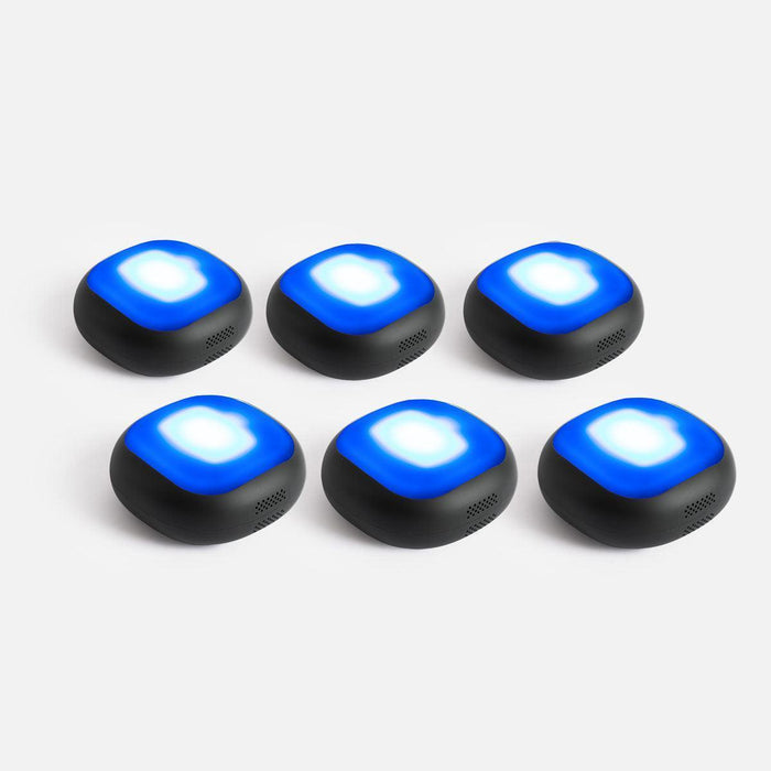 ROXPro by A-Champs: Advanced Cognitive and Physical Training